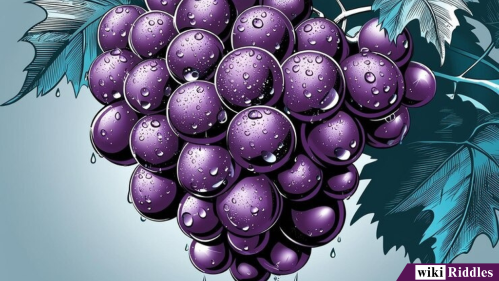 250+ Hilarious and Clever "Grape Riddles" with Answers
